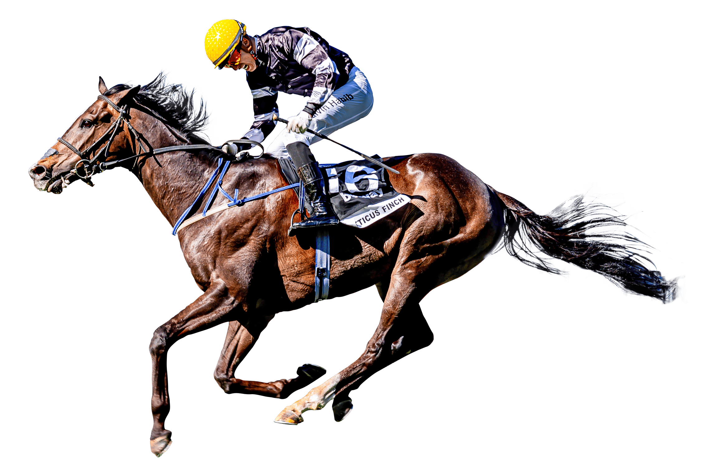 Home [www.4racing.com]